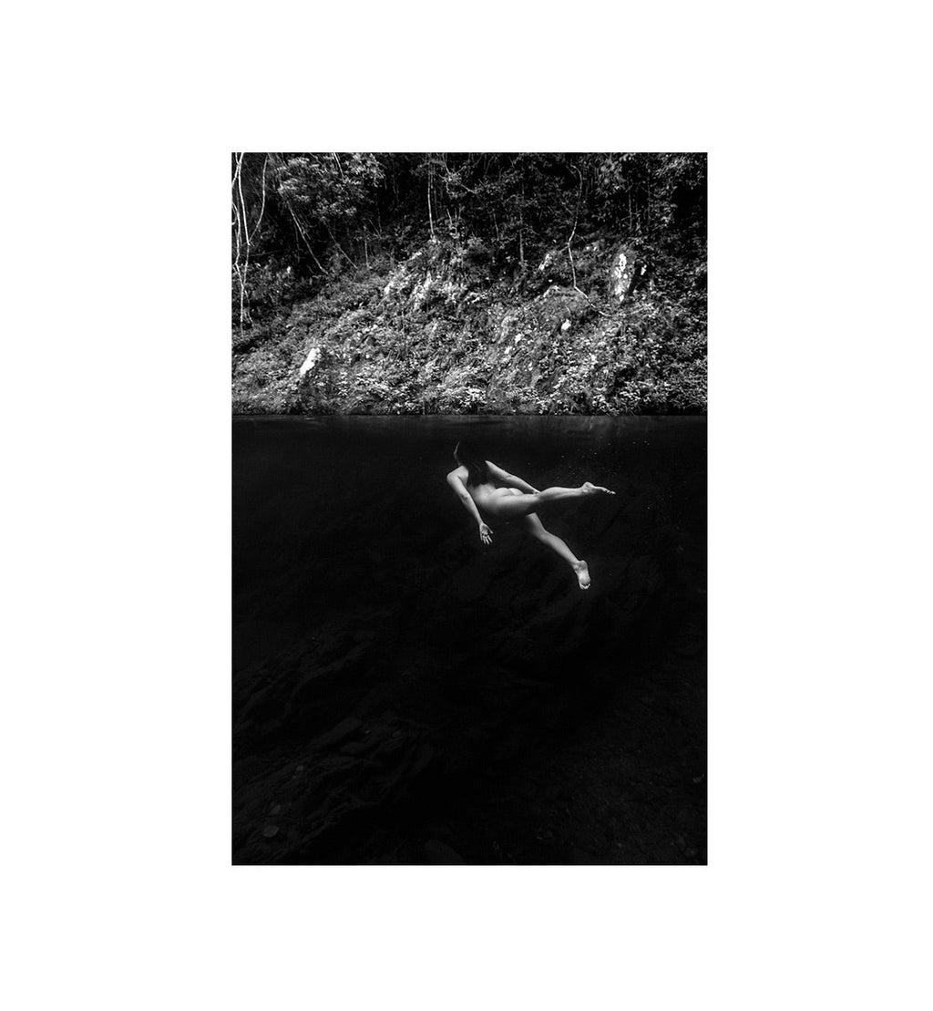 Andy Staley - Ella – Fenton & Fenton