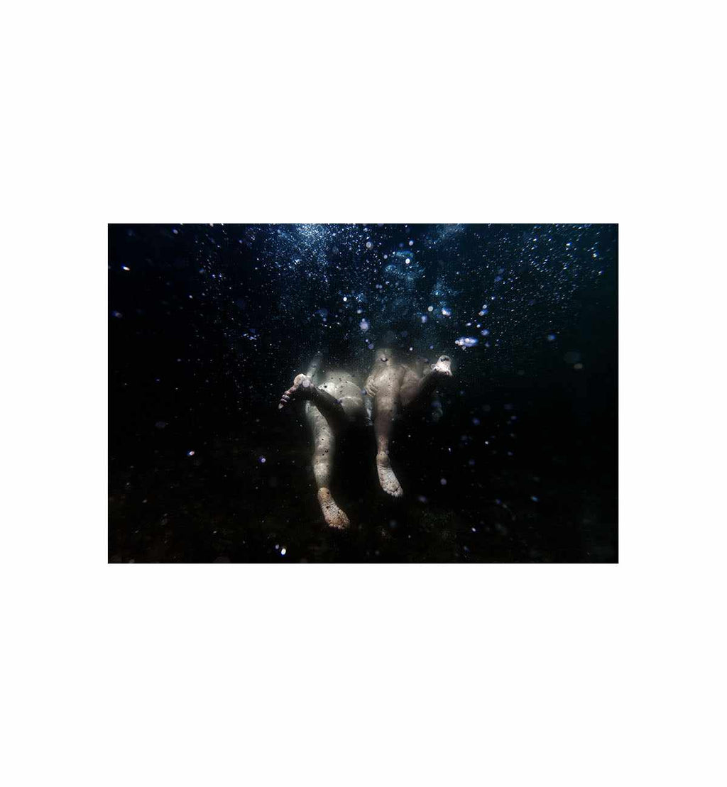 Andy Staley - Love In Motion | Photography – Fenton & Fenton